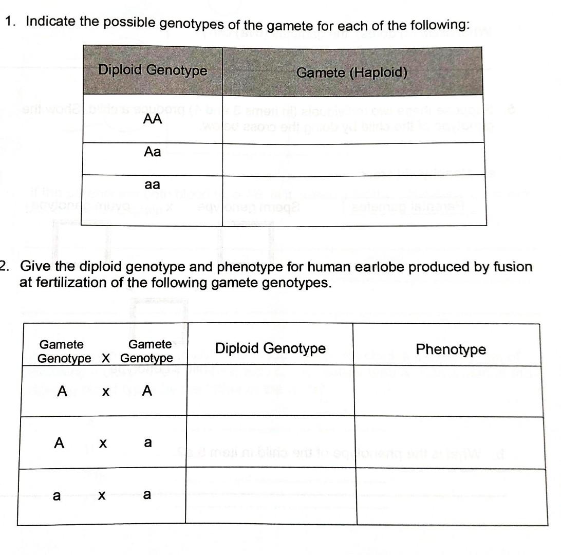 Solved 1. Indicate the possible genotypes of the gamete for | Chegg.com