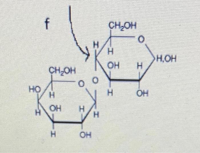 name the bond to which arrow "f" is pointing. PUT | Chegg.com