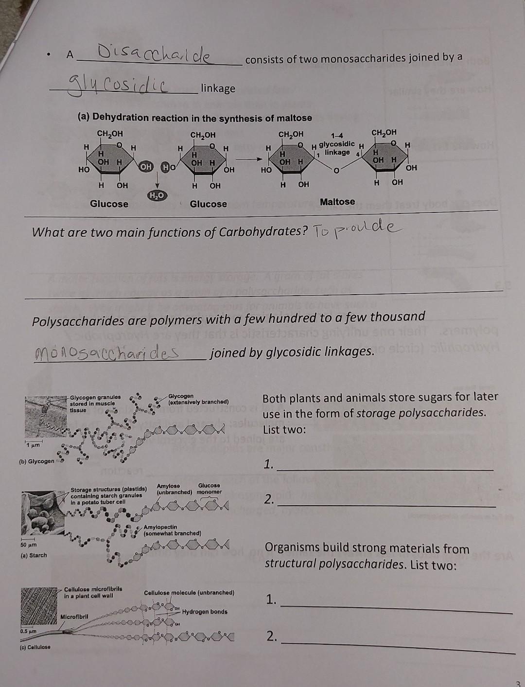 Solved BIOL 150 Name Due on or before Exam II *15 points | Chegg.com