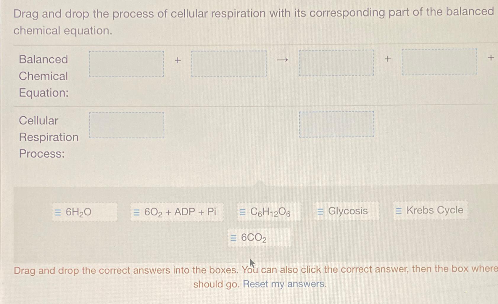 Solved Drag and drop the process of cellular respiration | Chegg.com