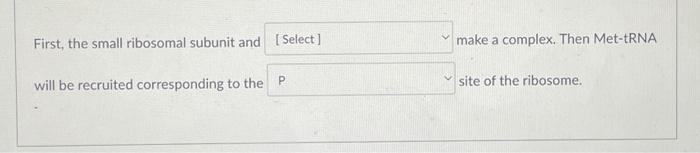 Solved First, the small ribosomal subunit and make a | Chegg.com
