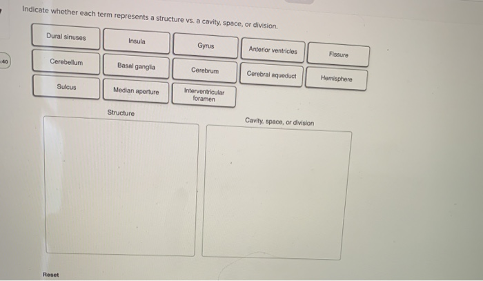 Solved Indicate whether each term represents a structure vs. | Chegg.com