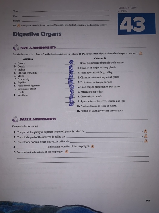 Solved LABORATORY REPORT Name Due Section The Acoresponds to | Chegg.com