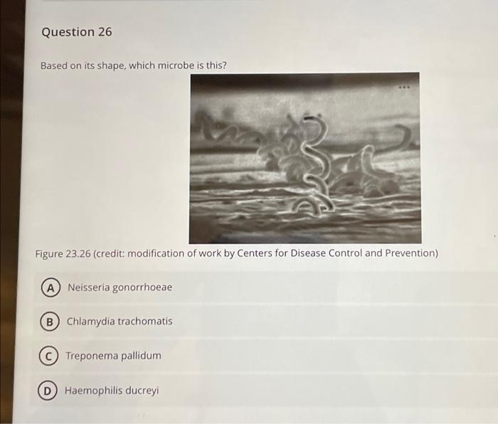 Solved Treponemal and non-treponemal serological testing can | Chegg.com