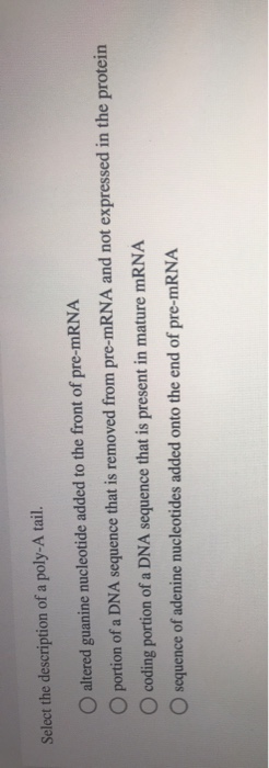 Solved Select the description of a poly-A tail. O altered | Chegg.com