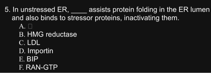Solved 5. In unstressed ER, assists protein folding in the | Chegg.com