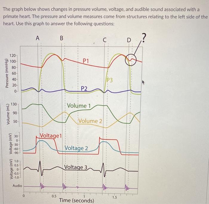 Solved The graph below shows changes in pressure volume, | Chegg.com