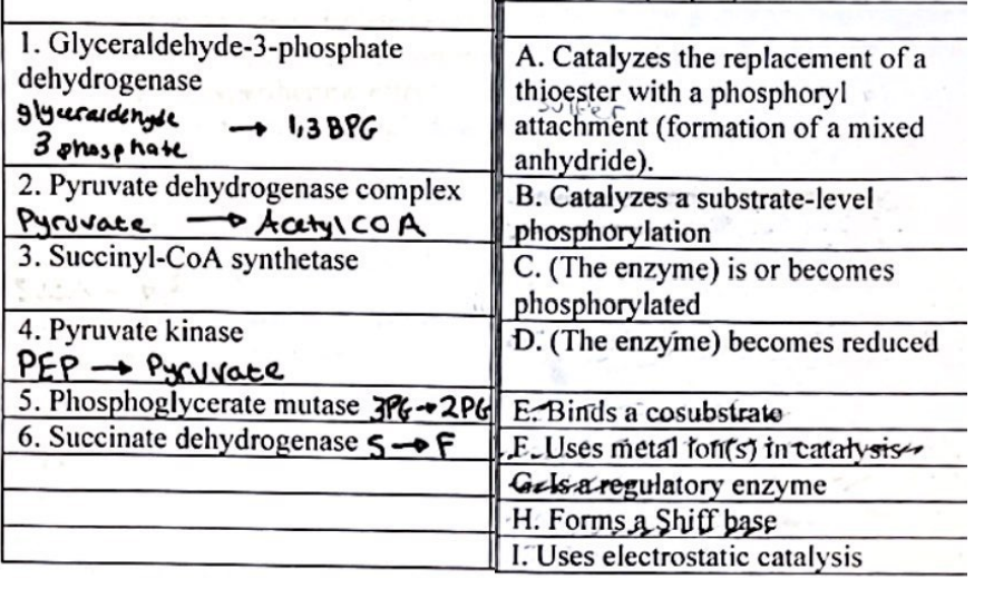 Solved For each enzyme select all characteristics (A-I) | Chegg.com