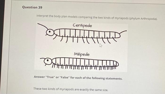 Solved Question 37 Interpret the body plan models comparing | Chegg.com