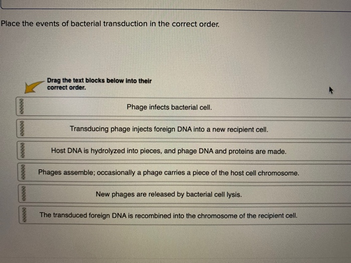 Solved Place the events of bacterial transduction in the | Chegg.com