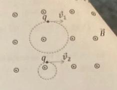 Solved a) the circular paths of two charged particles in a | Chegg.com