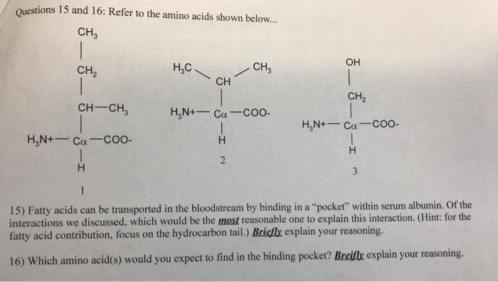 Solved Questions 15 and 16: Refer to the amino acids shown | Chegg.com