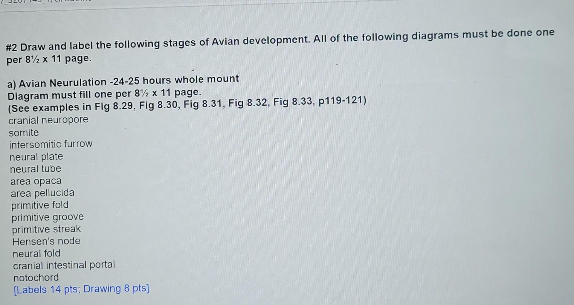 #2 Draw and label the following stages of Avian | Chegg.com