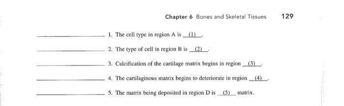 Solved 4. Figure 6.4 is a diagram representing the | Chegg.com