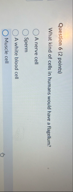 Solved Question 6 (2 ﻿points)What kind of cells in humans | Chegg.com
