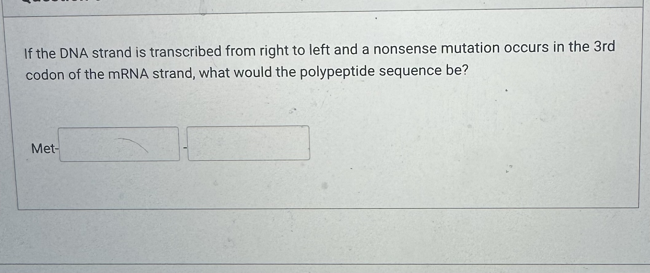 Solved Use this DNA template strand to answer the following | Chegg.com