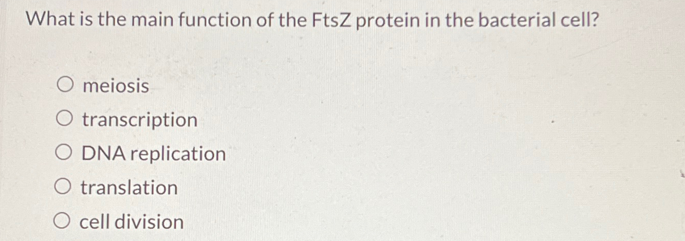 Solved What is the main function of the FtsZ protein in the | Chegg.com