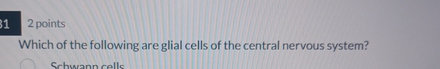 Solved 12 ﻿pointsWhich of the following are glial cells of | Chegg.com