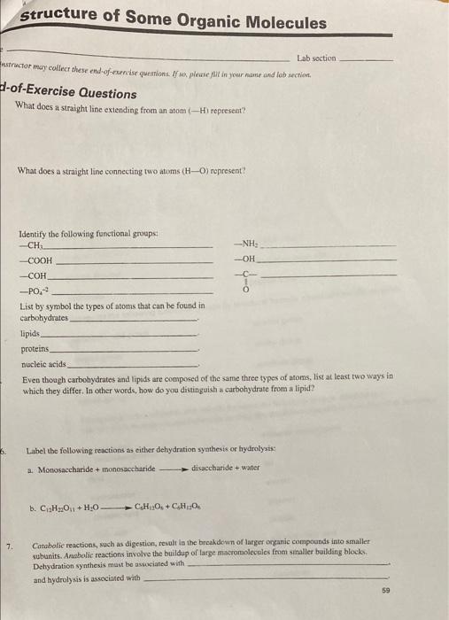 Solved Structure of Some Organic Molecules Lab section | Chegg.com