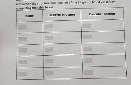 Solved Describe the structure and function of the 5 ﻿types | Chegg.com