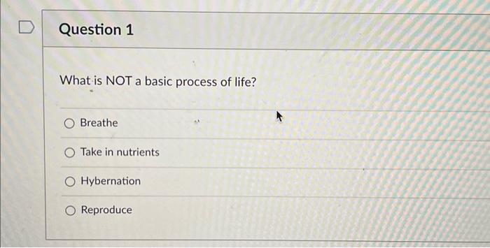 Solved What is NOT a basic process of life? Breathe Take in | Chegg.com