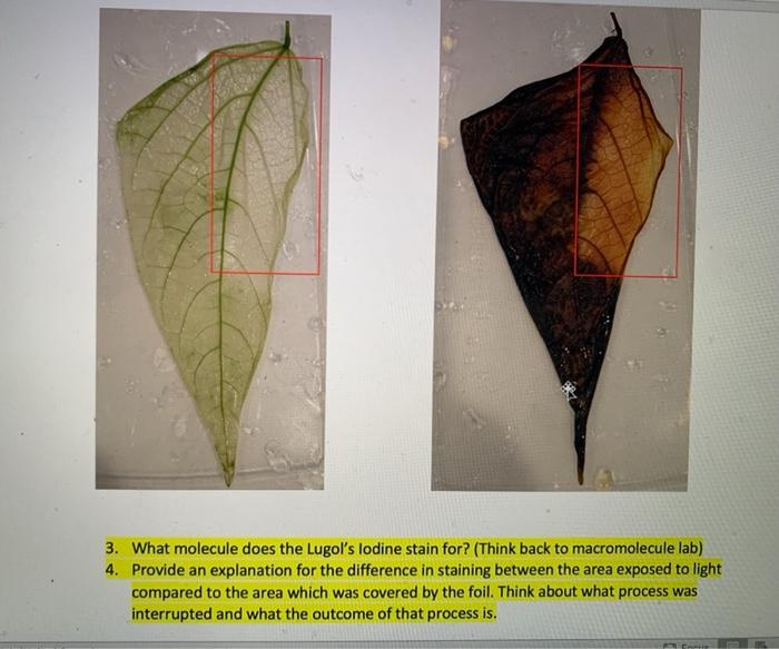 Solved Please answer questions 3 and 4 on the 3rd picture | Chegg.com