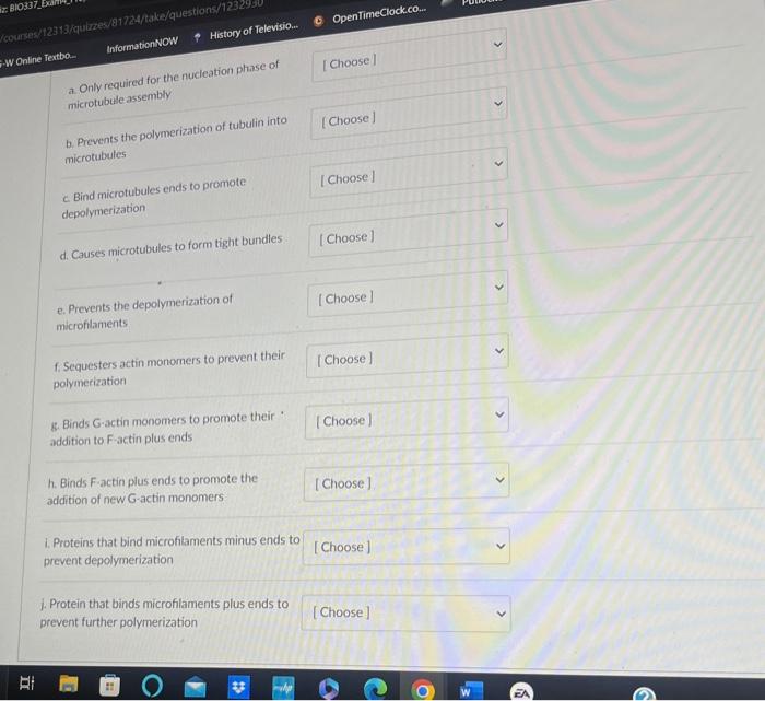 Solved f. Sequesters actin monomers to prevent their | Chegg.com