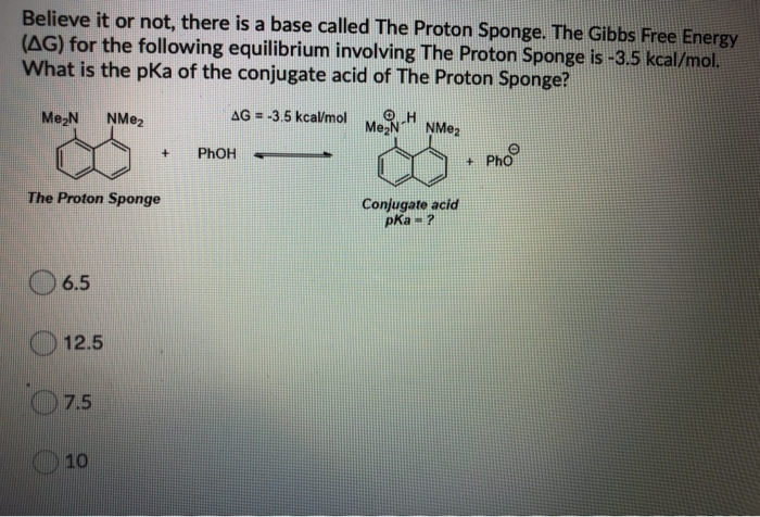 Solved Believe it or not, there is a base called The Proton | Chegg.com