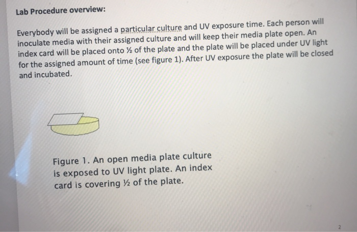 Solved Laboratory Exercise: UV Light Effect on Bacteria - | Chegg.com Solved Laboratory Exercise: UV Light Effect on Bacteria - | Chegg.com