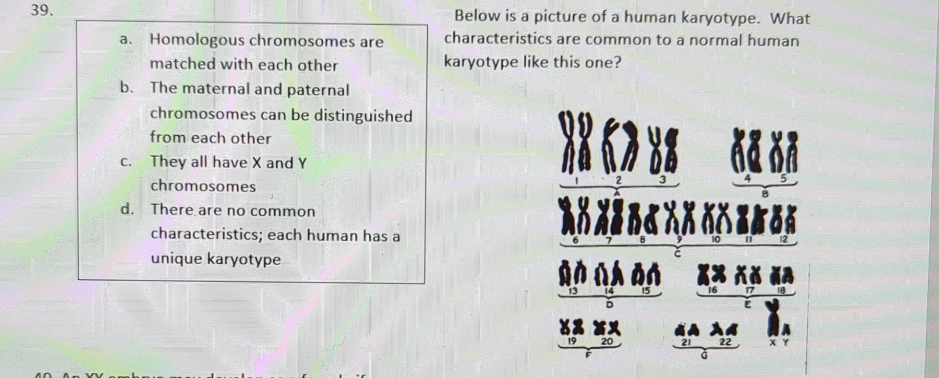 Solved Below is a picture of a human karyotype. What a. | Chegg.com