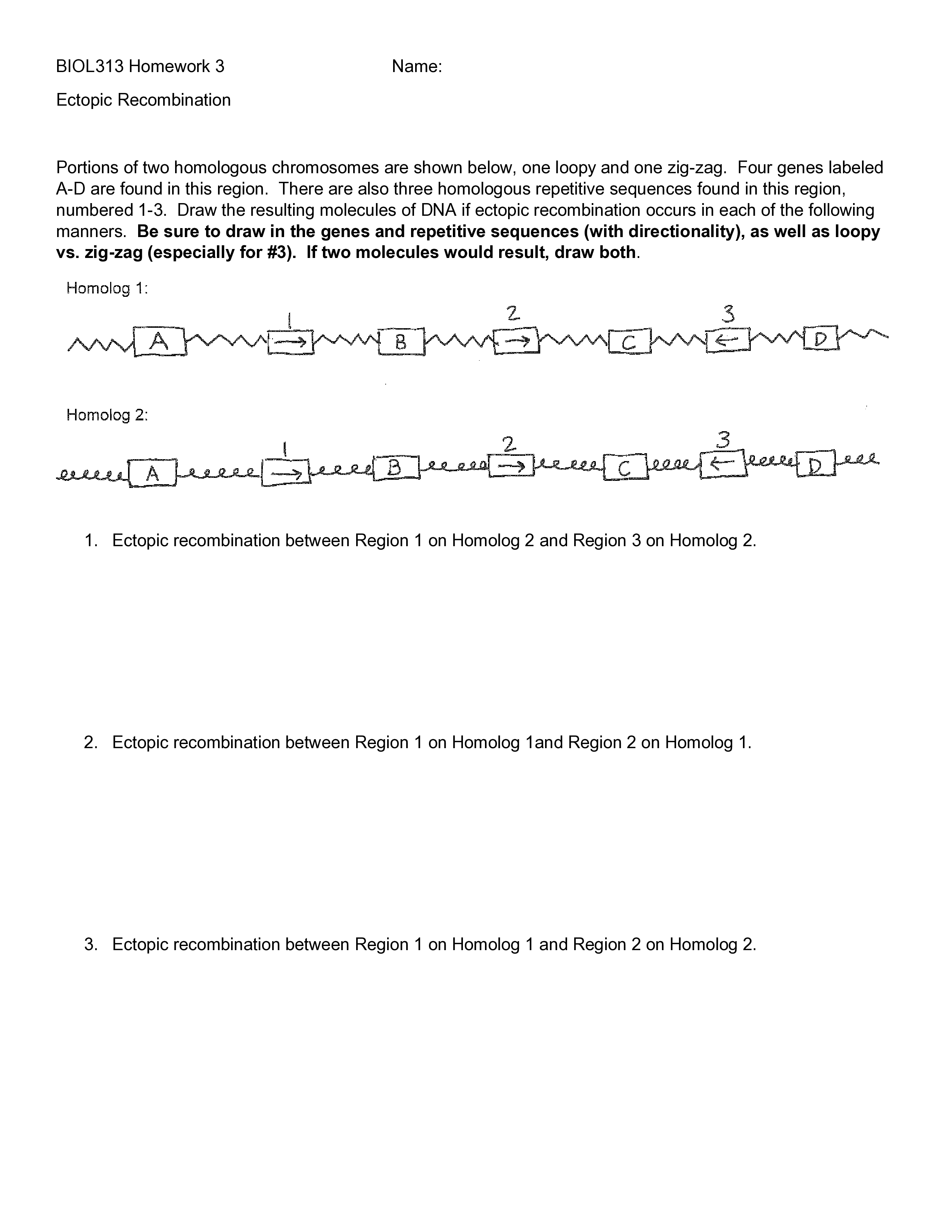 PLEASE DRAW AND EXPLAIN THOROUGHLY THANK YOU Ectopic | Chegg.com
