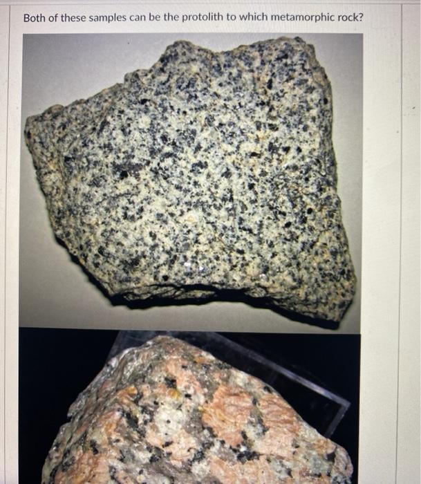 Solved Both of these samples can be the protolith to which | Chegg.com