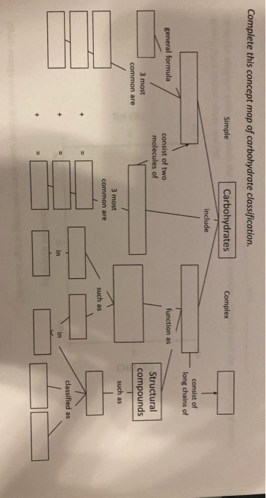 Solved Complete this concept map of carbohydrate | Chegg.com