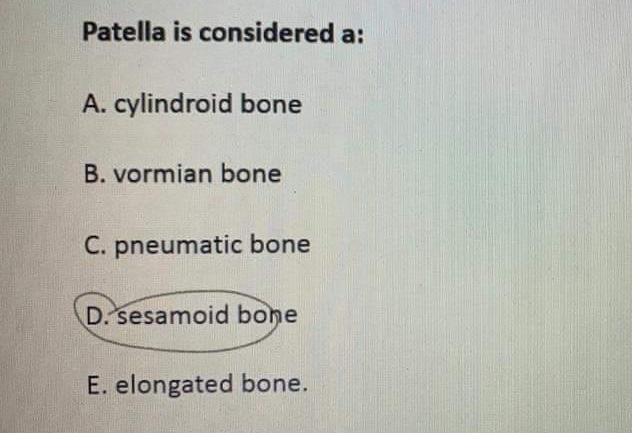 Solved 1) The fovea capitis is located in the center of | Chegg.com