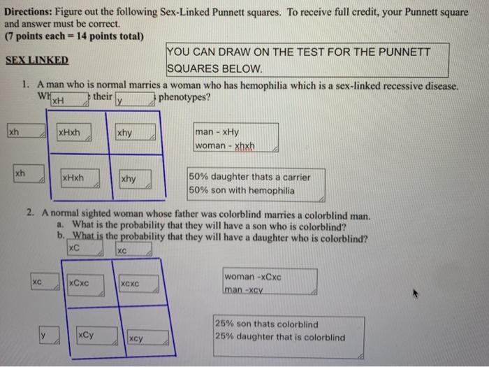 Solved Directions: Figure out the following Sex-Linked | Chegg.com