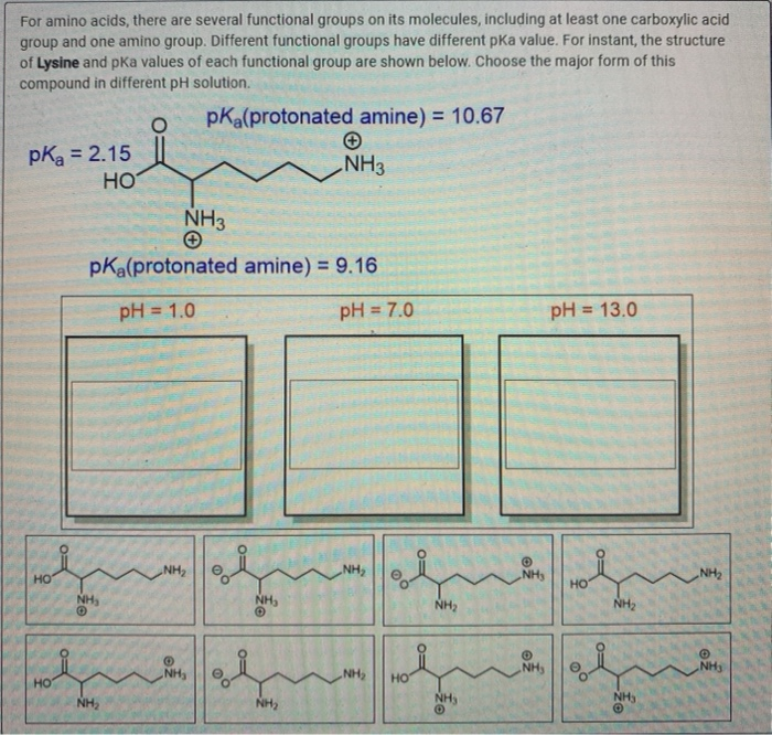 Solved For amino acids, there are several functional groups | Chegg.com
