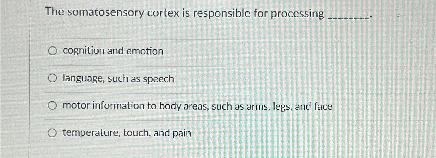 Solved The somatosensory cortex is responsible for | Chegg.com