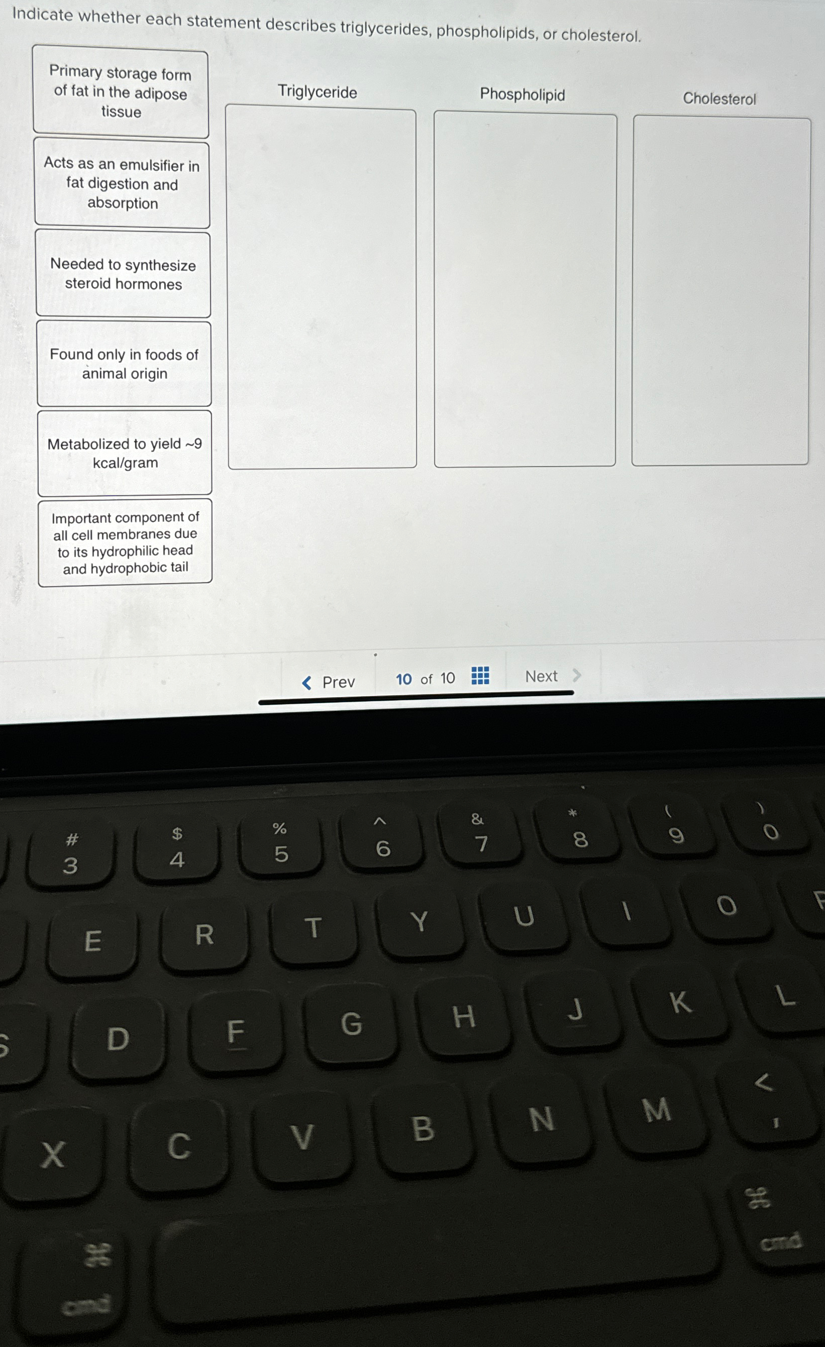 Solved Indicate whether each statement describes | Chegg.com