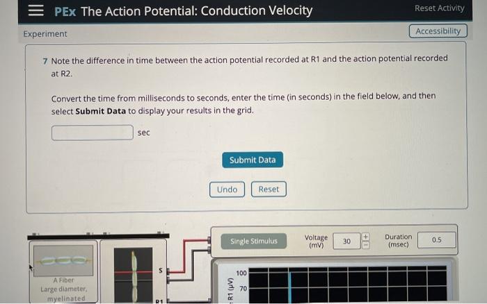 Solved Reset Activity = PEx The Action Potential: Conduction | Chegg.com