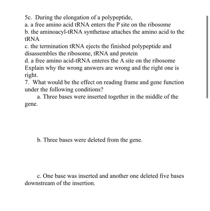 Solved 5c. During the elongation of a polypeptide, a. a free | Chegg.com