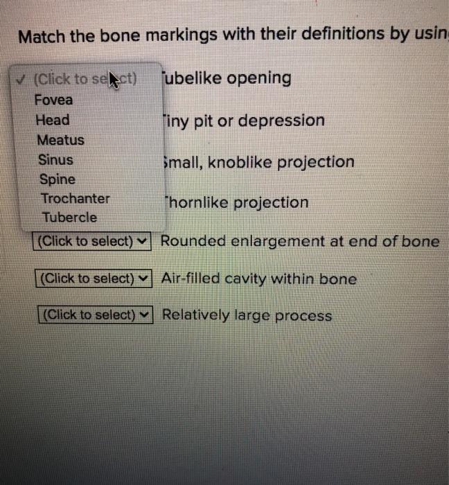 Solved Match the bone markings with their definitions by | Chegg.com