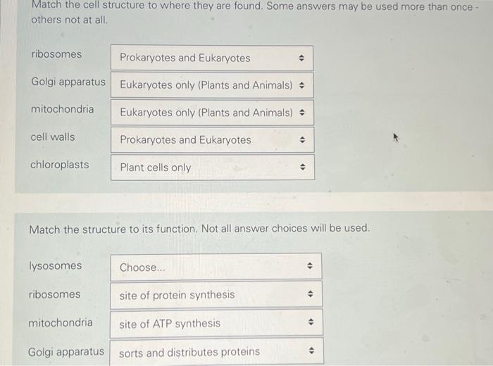Solved Match the cell structure to where they are found. | Chegg.com