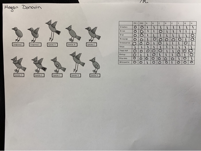 Solved i cant figure out how to draw the most parsimonious | Chegg.com