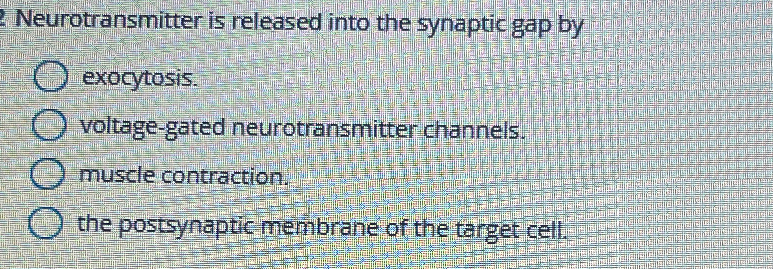 Solved Neurotransmitter is released into the synaptic gap by | Chegg.com