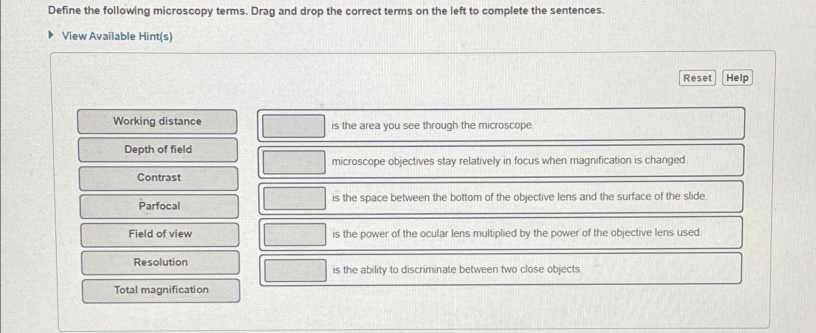 Solved Define the following microscopy terms. Drag and drop | Chegg.com