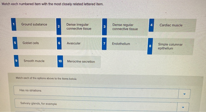 Solved Match each numbered item with the most closely | Chegg.com