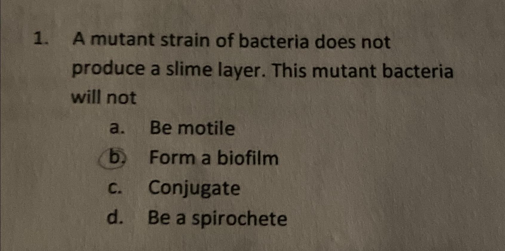 Solved A mutant strain of bacteria does not produce a slime | Chegg.com