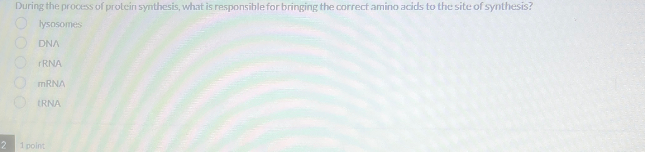 Solved During the process of protein synthesis, what is | Chegg.com