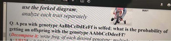 1 15% use the forked diagram; analyze each trait | Chegg.com