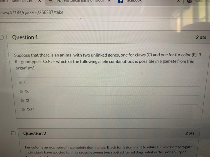 Solved am 3 - Multiple rses/47183/quizzes/256337/take | Chegg.com